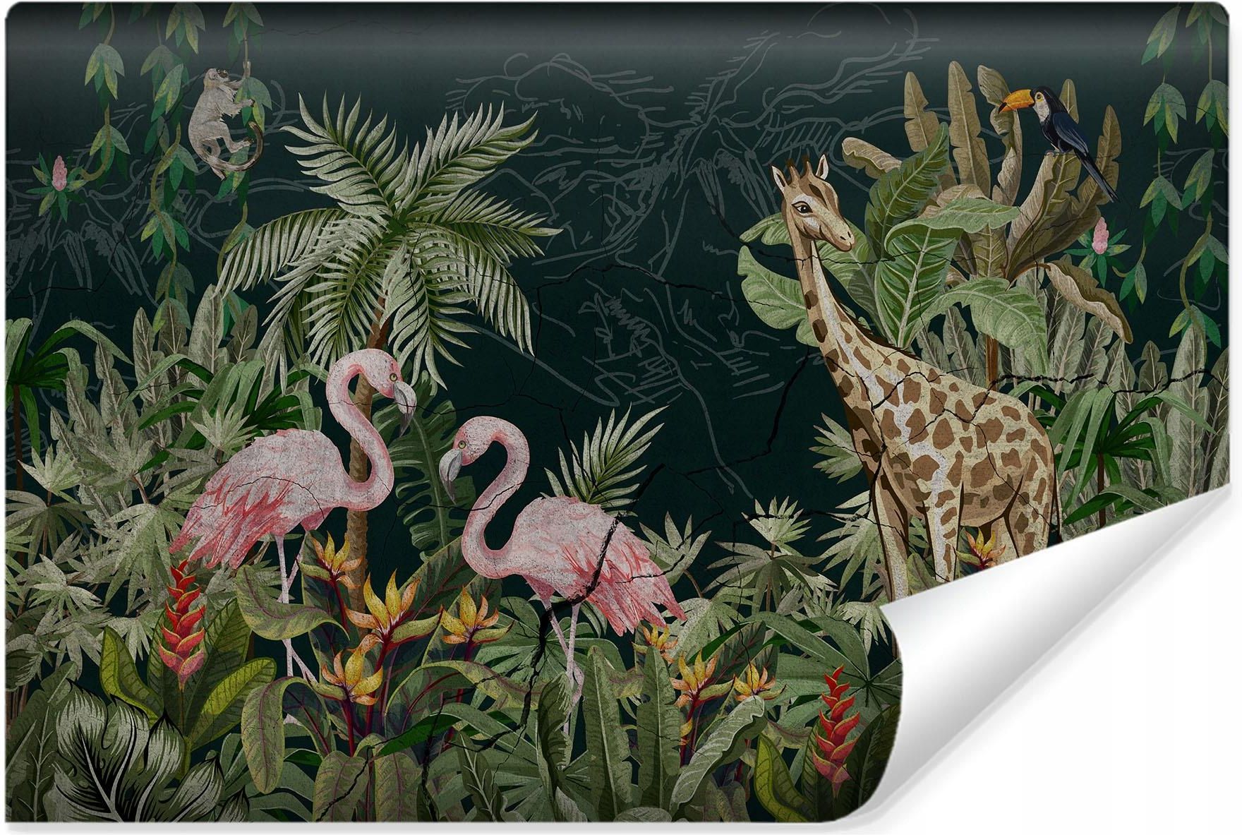 Muralo Fototapeta Zwierzęta Rośliny Tropikalne 3D 368x254 - Opinie i ceny na Ceneo.pl