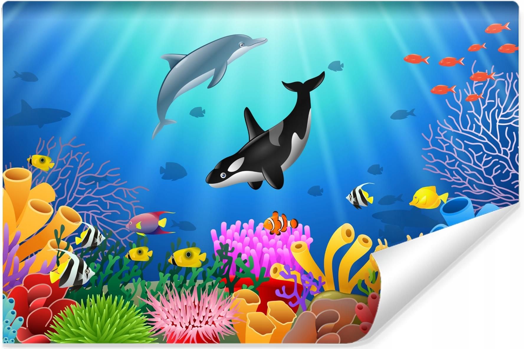 Muralo Fototapeta Delfin Orka Ocean 180x120 - Opinie i ceny na Ceneo.pl
