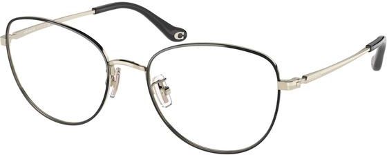 Coach HC 5137 9346 (8042038) - Opinie i ceny na Ceneo.pl