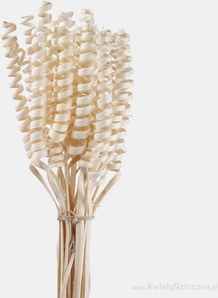 Cane spring wybielane - 25 szt - Opinie i atrakcyjne ceny na Ceneo.pl