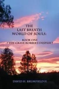 The Last Breath World Of Souls David Brumfield - Literatura ...