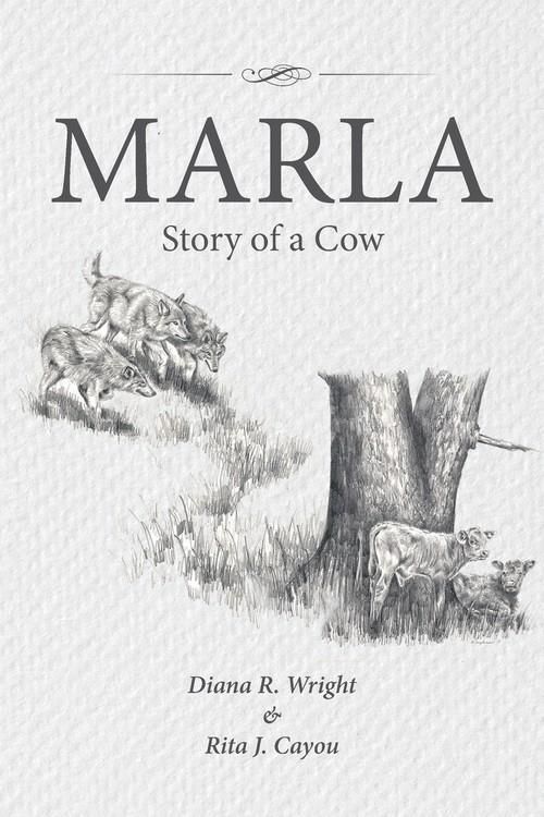 Marla Diana R. Wright - Literatura obcojęzyczna - Ceny i opinie - Ceneo.pl
