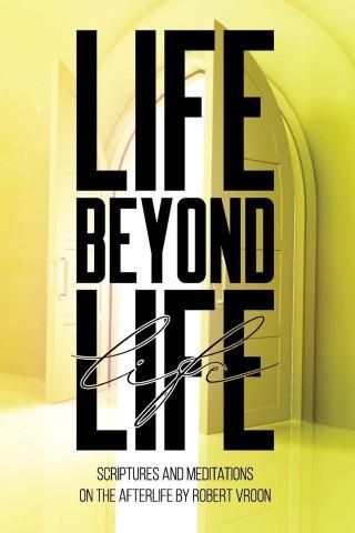 Life Beyond Life - Literatura obcojęzyczna - Ceny i opinie - Ceneo.pl