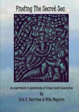 Finding The Secret Sea - Literatura obcojęzyczna - Ceny i opinie - Ceneo.pl