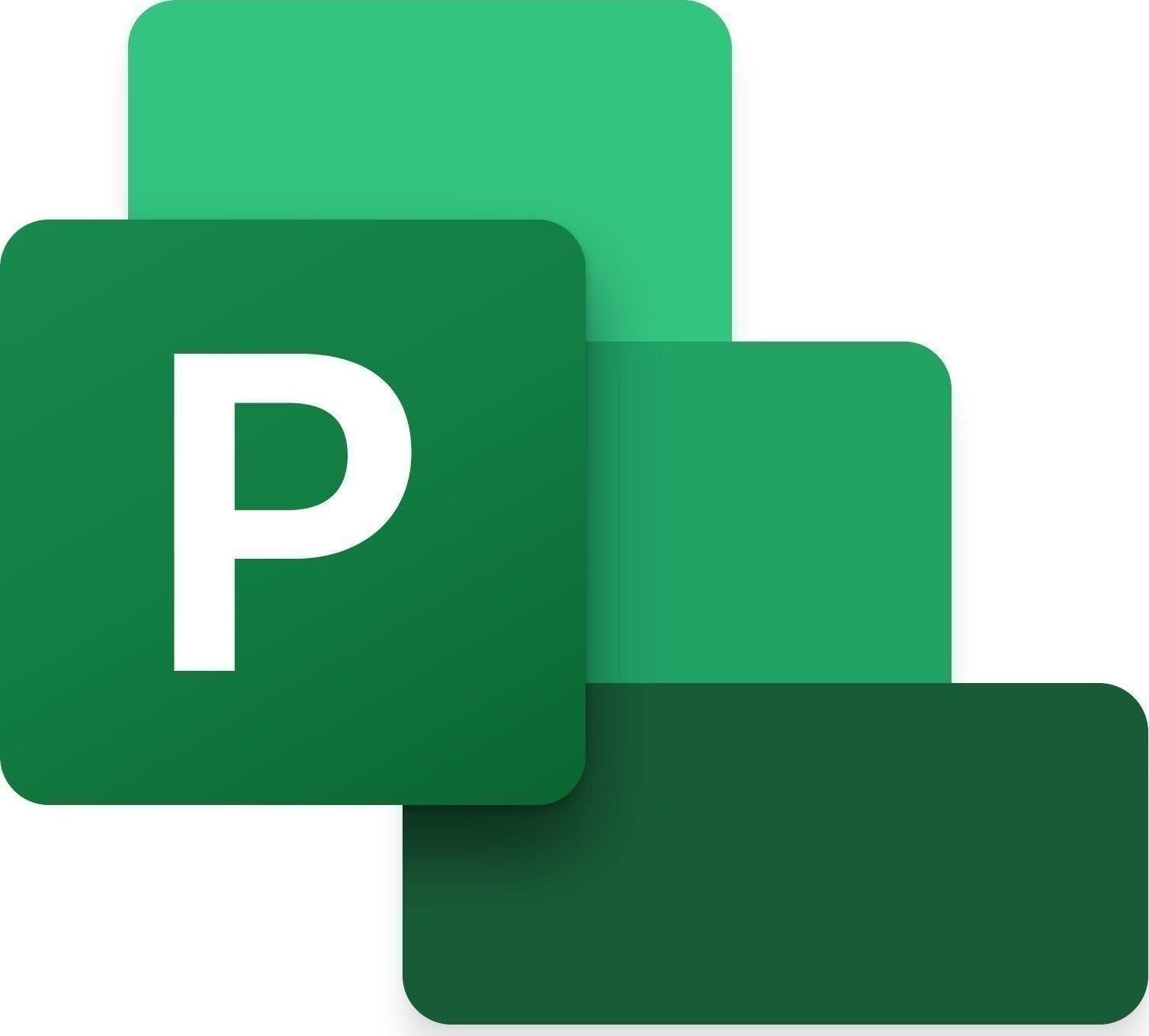 Programy serwerowe Microsoft Project Server 2019 CAL DG7GMGF0F4LF:0001 ...