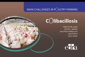 Colibacillosis - Main Challenges in Poultry Farming Logue, Catherine M ...