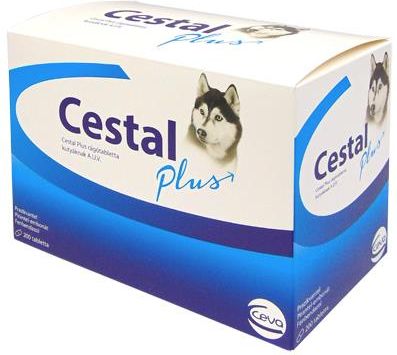 Cestal Plus Tabletki Do Rozgryzania I Żucia Dla Psów 200Szt. - Ceny i ...