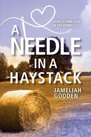 Needle in a Haystack - Literatura obcojęzyczna - Ceny i opinie - Ceneo.pl