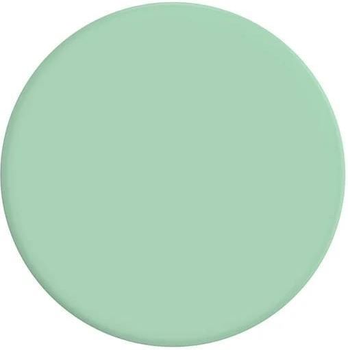 Popsockets Basic Grip Pastel Mint (806117) - Opinie i ceny na Ceneo.pl