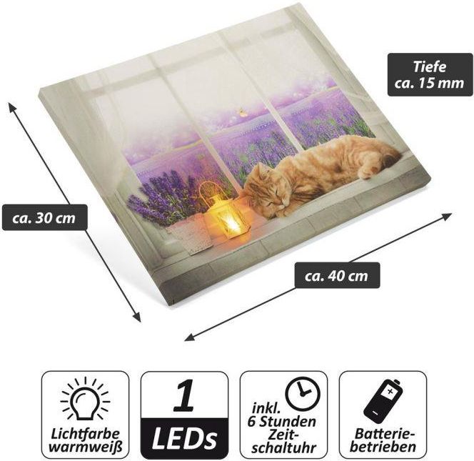 Obraz Podświetlany Fototapeta Kot 1 Led 30X40 Cm 86701 - Opinie i ...