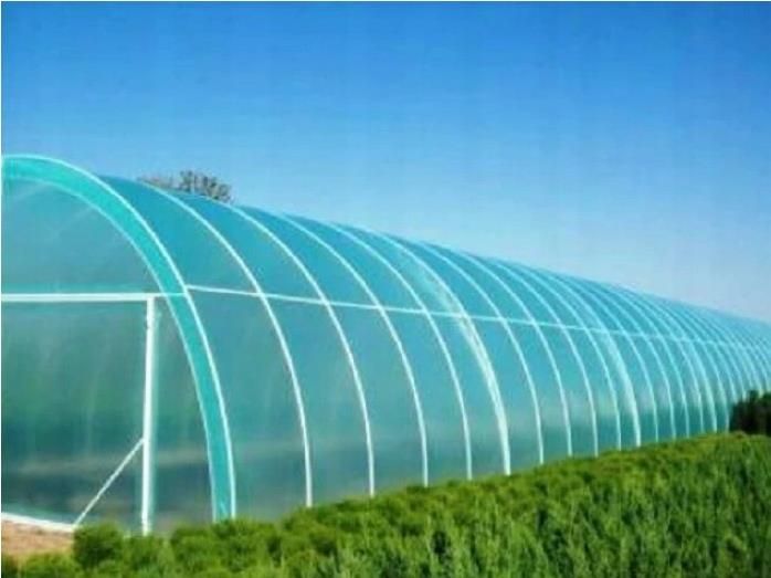 Warter Polymers Folia Tunelowa Ogrodnicza Uv4 Szer 8M Mocna Gruba ...