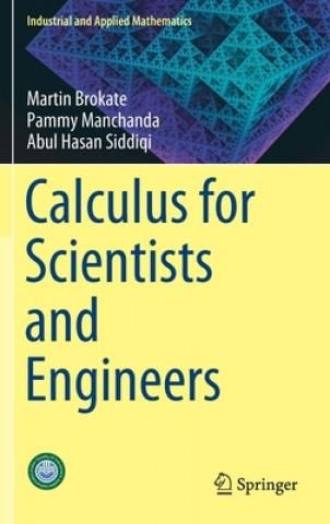 Calculus for Scientists and Engineers - Literatura obcojęzyczna - Ceny ...