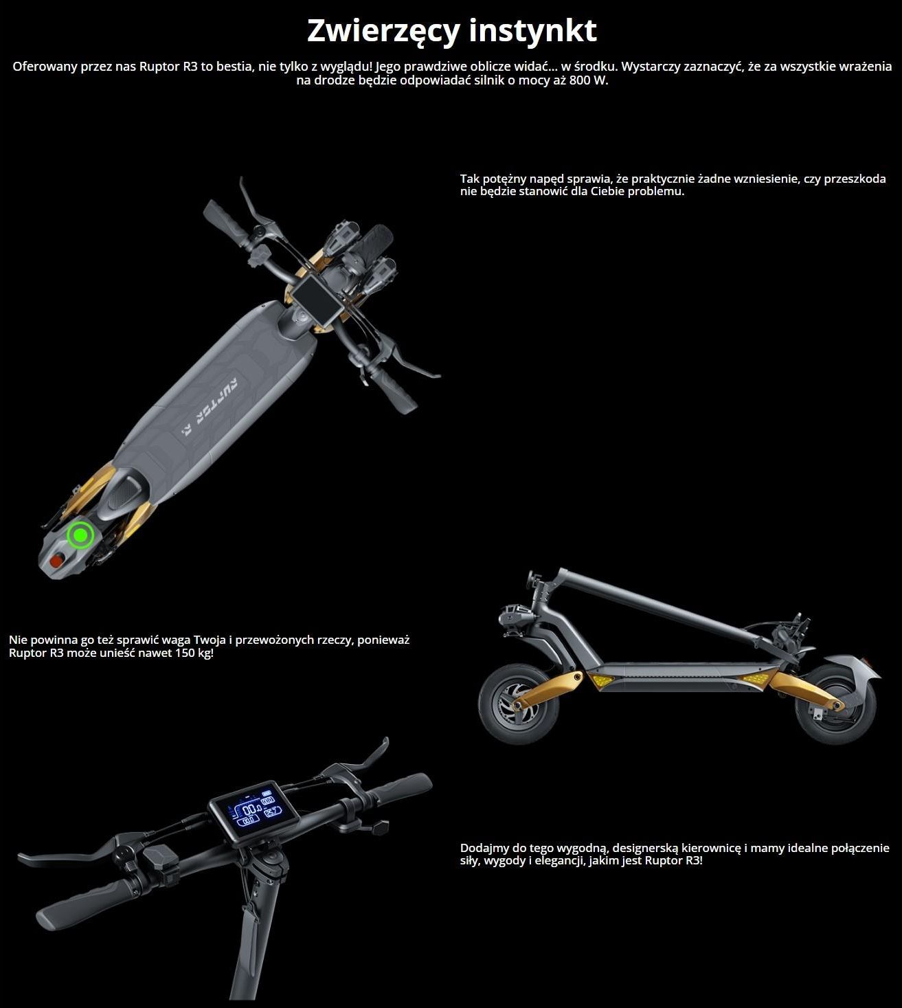 Ruptor R3 Green - Ceny i opinie - Ceneo.pl