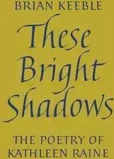 These Bright Shadows - Brian Keeble - Literatura obcojęzyczna - Ceny i ...
