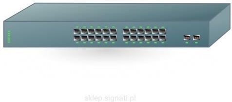 Cisco MDS 9124 (DS-C9124-1-K9) - Opinie i ceny na Ceneo.pl