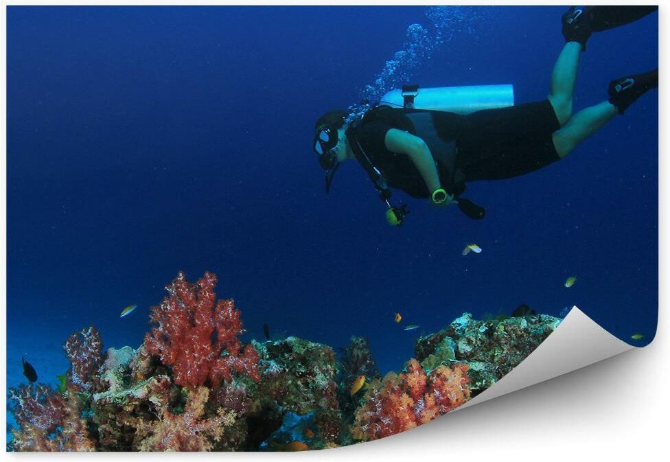 Fototapety.Pl Rafa Koralowa Nurek Woda Ryby Okleina Ścienna 250x250cm ...