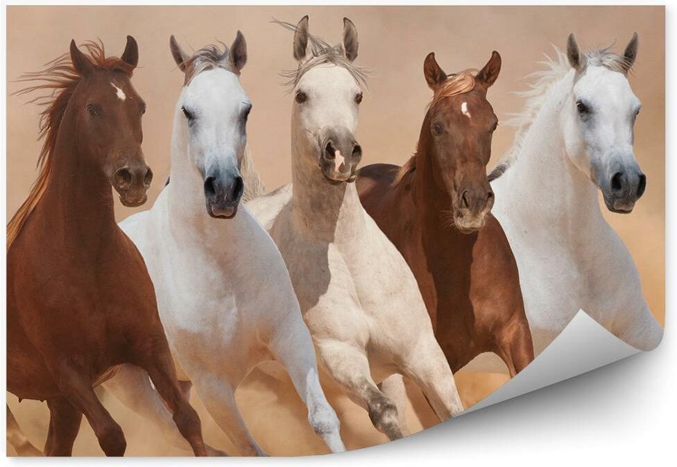 Fototapety.Pl Stado Koni Biegnących Po Piasku Kurz Dym Fototapeta ...