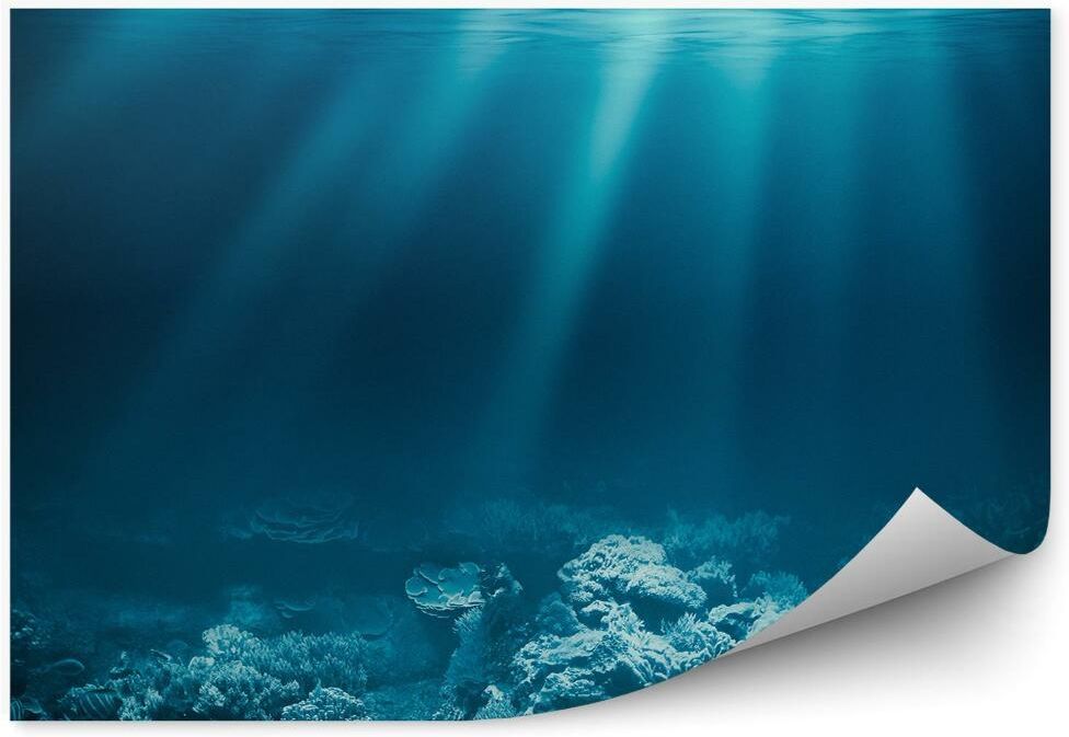 Fototapety.Pl Dno Oceanu Rafa Koralowa Promienie Słońca Okleina Ścienna ...