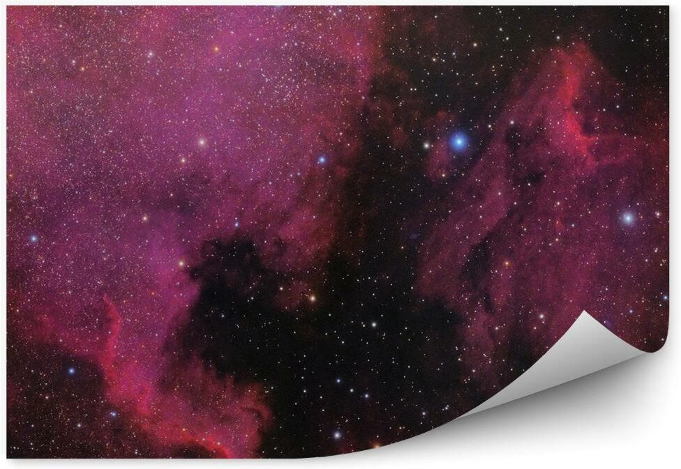 Fototapety.Pl Pelikan Nebula Mgławica Wzór Artystyczny Gwiazdy Fototapeta 250x250cm Fizelina ...