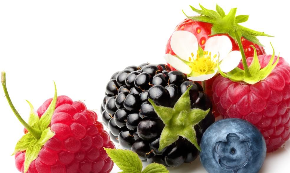 Fototapety.Pl Letnie Owoce Jagodowe Jeżyna Malina Borówka Kwiat ...