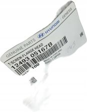 1249305167B ŚRUBA MOCOWANIA ZDERZAKA (10) HYUNDAI - Opinie i ceny na ...