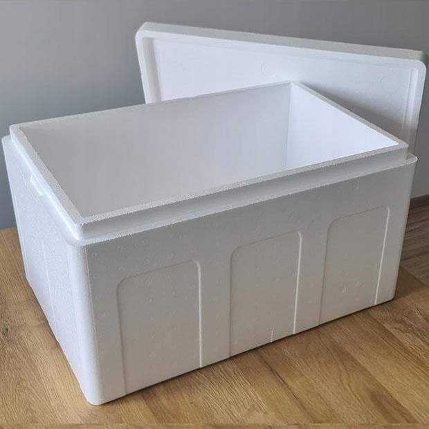 Styrobox Pojemnik Izotermiczny Lodówka Termo 51L - Ceny i opinie - Ceneo.pl