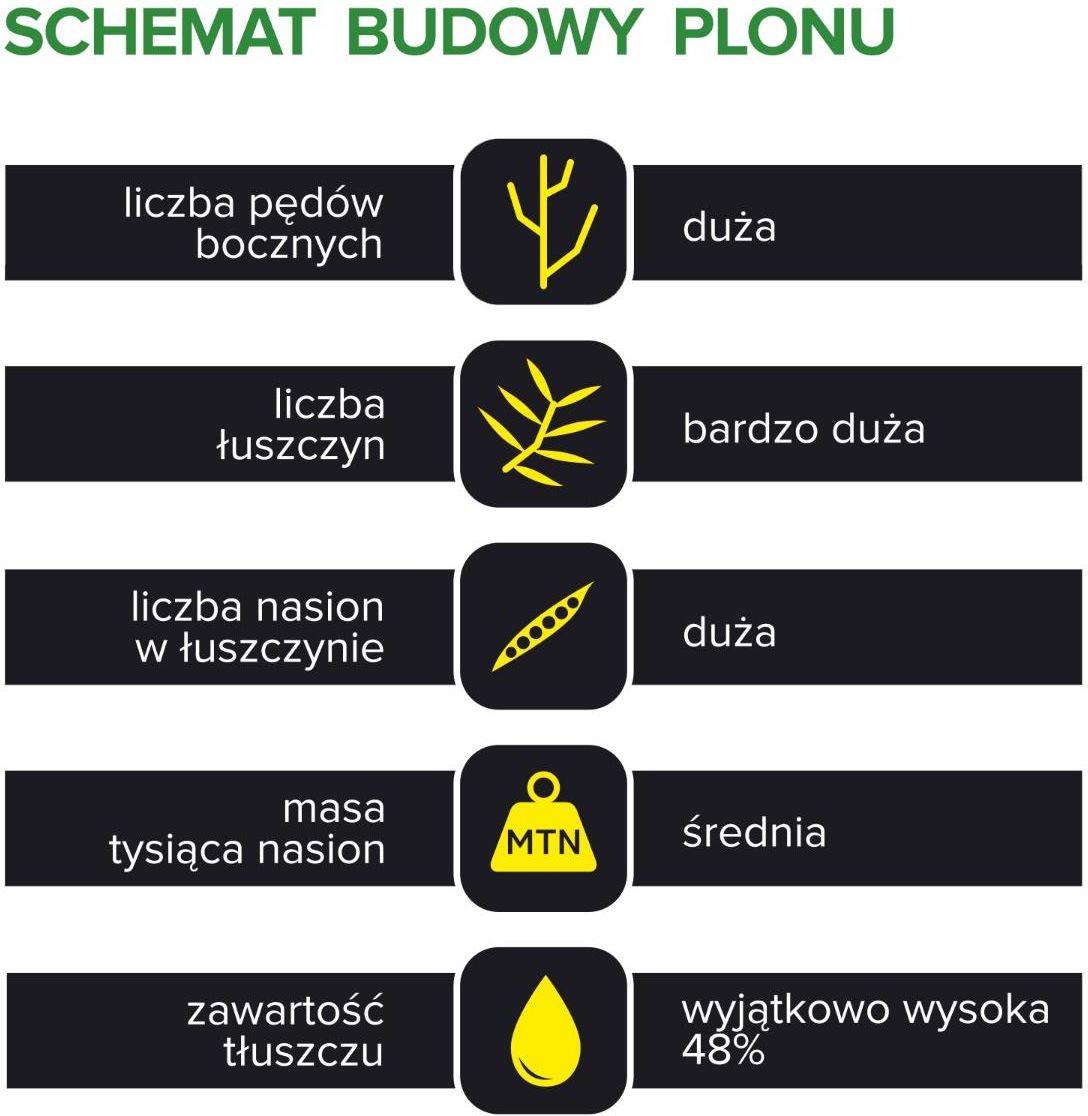 Nasiona rzepaku ozimego Kwazar 2mln nasion + zaprawione zaprawą ...