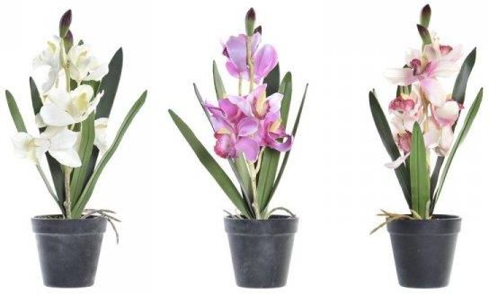 Dkd Home Decor Roślina Dekoracyjna Różowy Materiał Fuksja Biały Pe ...