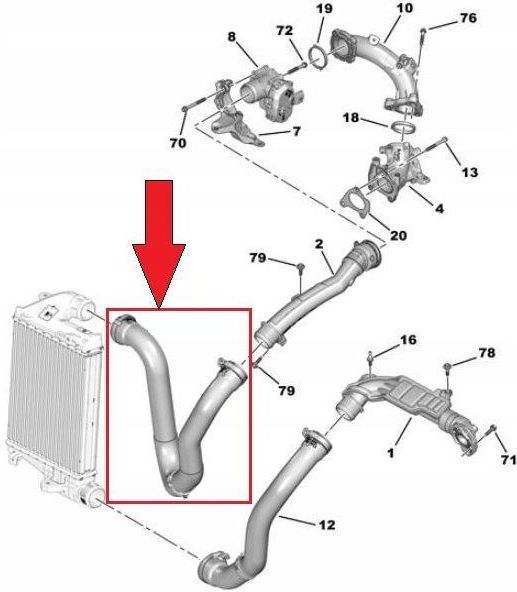 Gt-Bergmann Rura Turbo Citroen Peugeot Opel 1.6 Hdi 9806788380 Gt52-431 ...