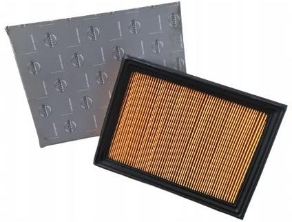 Nissan Oe 16546Jg30A Filtr Powietrza - opinie i ceny na Ceneo.pl