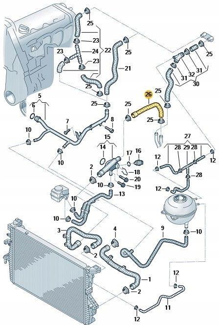 Volkswagen Oe Oryginał Przewód Wąż Rura Wody Vw Transporter T5 - Opinie ...