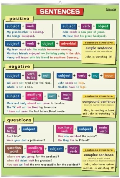 Pomoc dydaktyczna Visual System Sentence Positive Negative Questions ...
