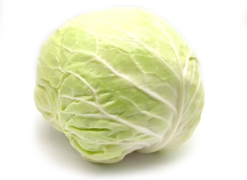 Kapusta ekologiczna młoda ok 1,6kg+ - Ceny i opinie - Ceneo.pl