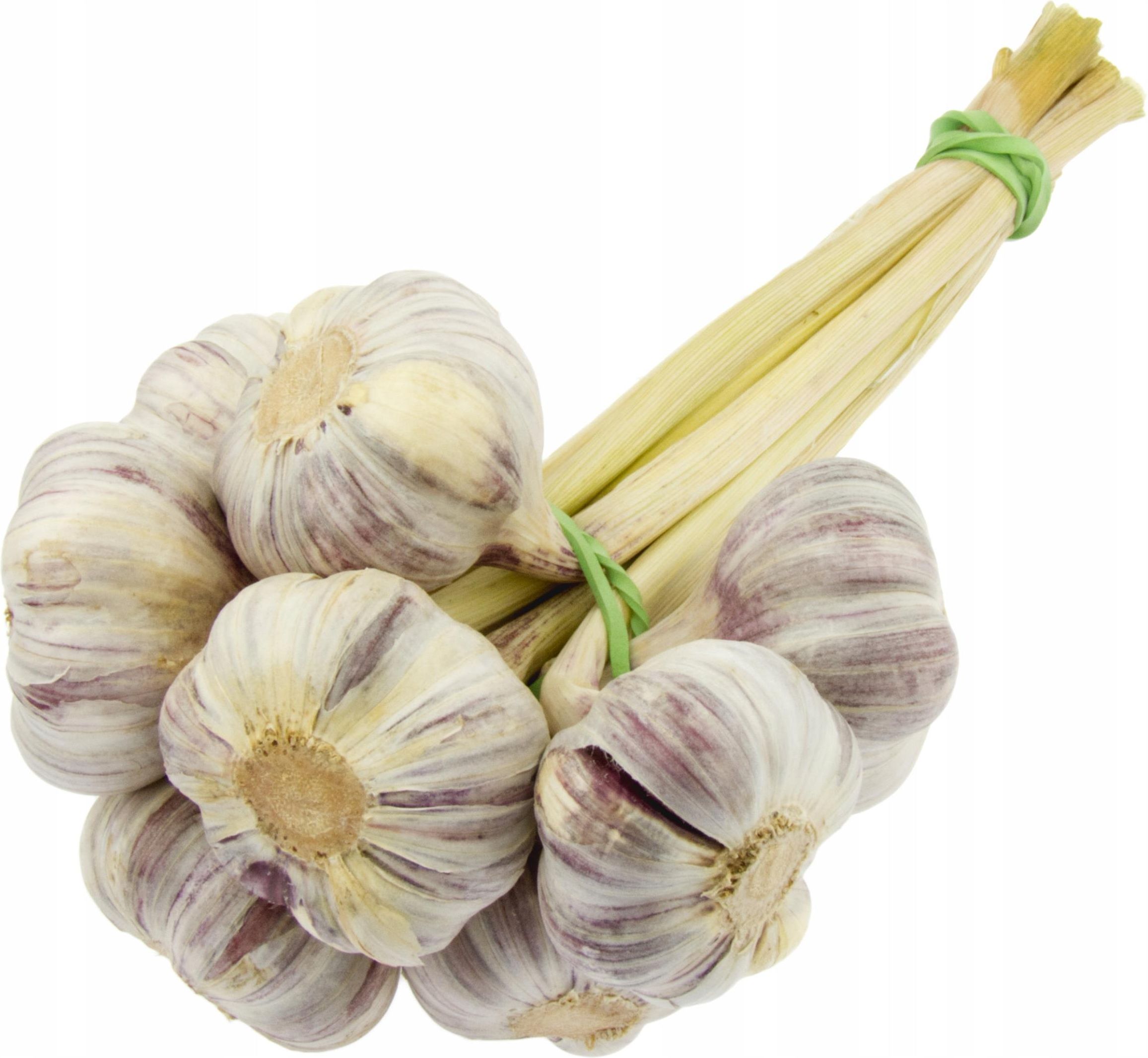 Czosnek Harnaś Polski Pęczek 10 Szt KALIBER4,5-5,5 - Ceny i opinie ...