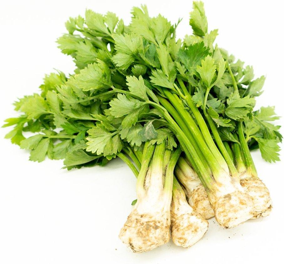 Seler z nacią ekologiczny 120-200g - Ceny i opinie - Ceneo.pl