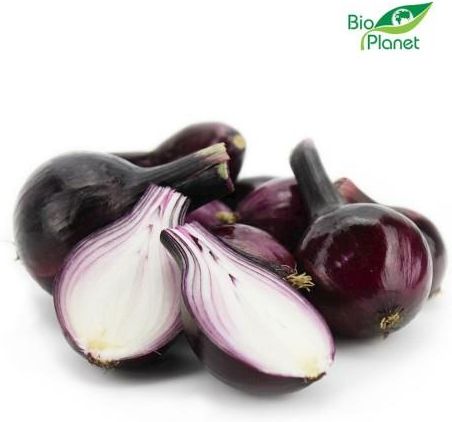 Cebula Czerwona Świeża BIO (około 1 kg) Planet - Ceny i opinie - Ceneo.pl
