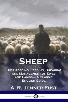 Sheep (Jenner-Fust A. R.) - Literatura obcojęzyczna - Ceny i opinie ...