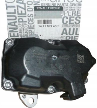 Renault Oe Zawór Egr Megane Scenic Iii Iv 1.6Dci 147109948R - Opinie i ...