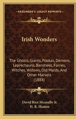Irish Wonders (McAnally David Rice Jr.) - Literatura obcojęzyczna ...