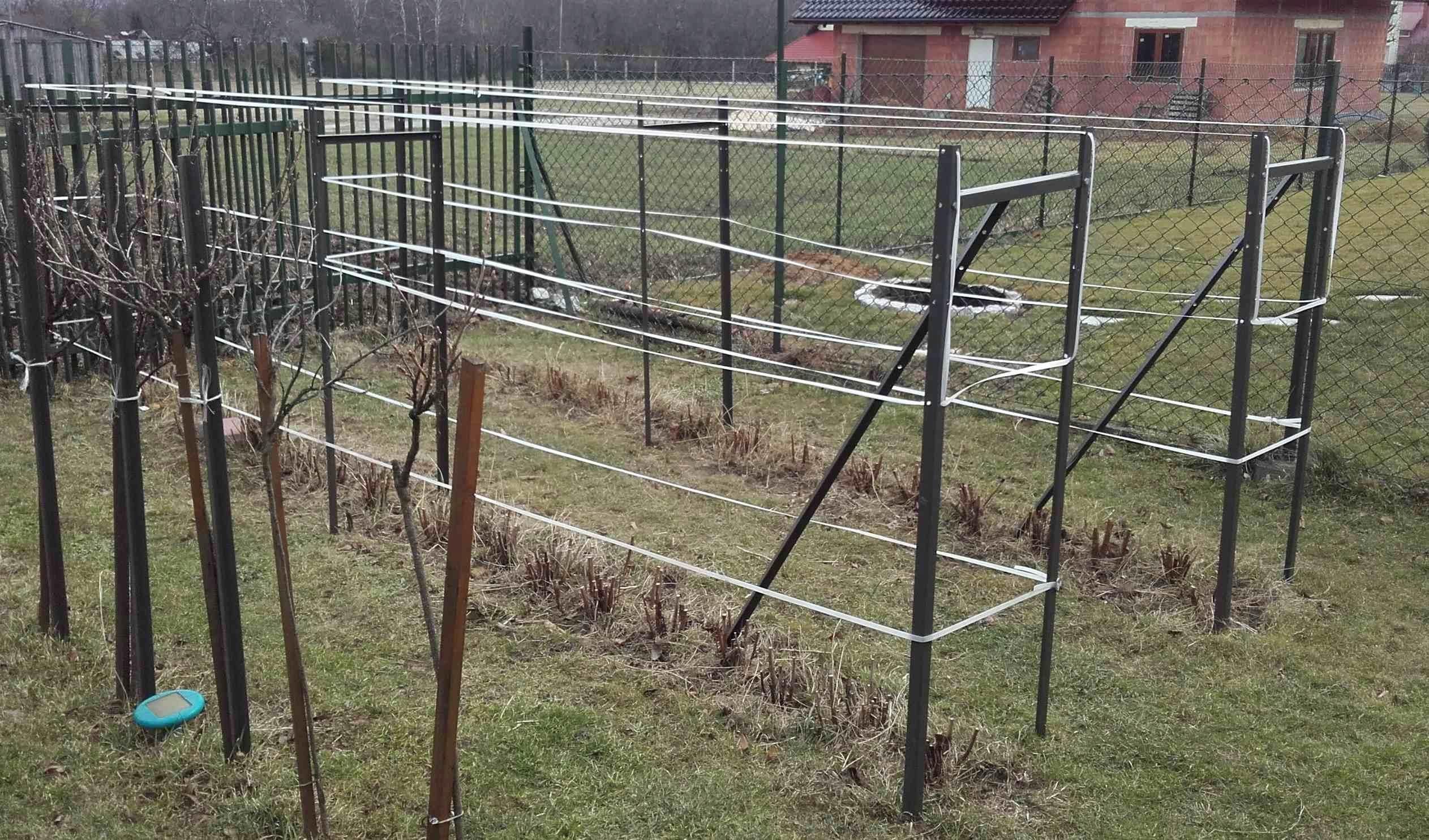 Słupek Do Malin Podpora Do Malin Palik Do Malin - Ceny i opinie - Ceneo.pl