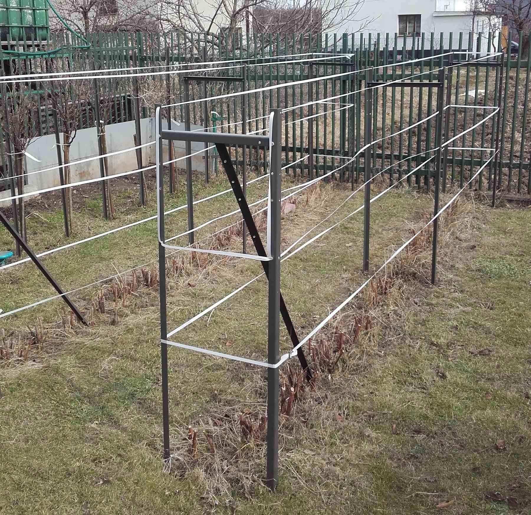 Słupek Do Malin Podpora Do Malin Palik Do Malin - Ceny i opinie - Ceneo.pl