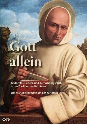 Gott allein Bürger, Hans Jakob - Literatura obcojęzyczna - Ceny i ...