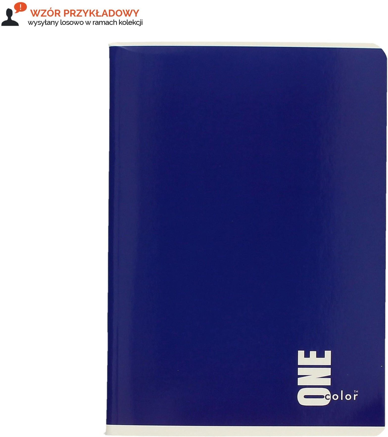 Interdruk Zeszyt A5/60 Kratka One Color - Ceny i opinie - Ceneo.pl