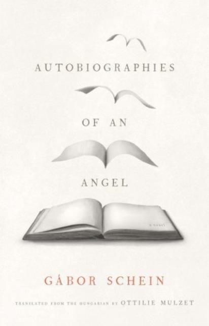 Autobiographies of an Angel (Schein Gabor) - Literatura obcojęzyczna ...