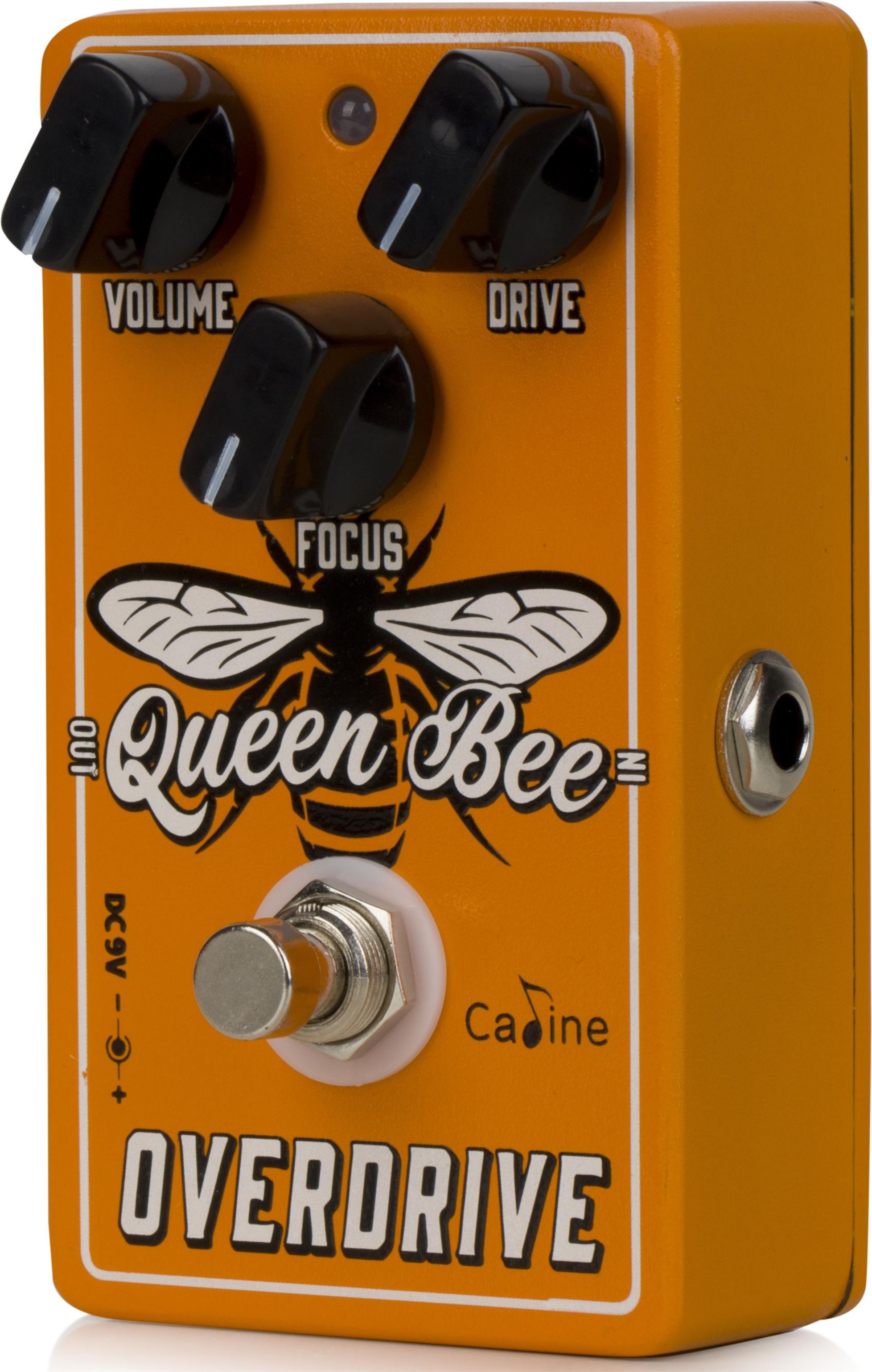 Caline QUEEN BEE OVERDRIVE - Ceny i opinie - Ceneo.pl