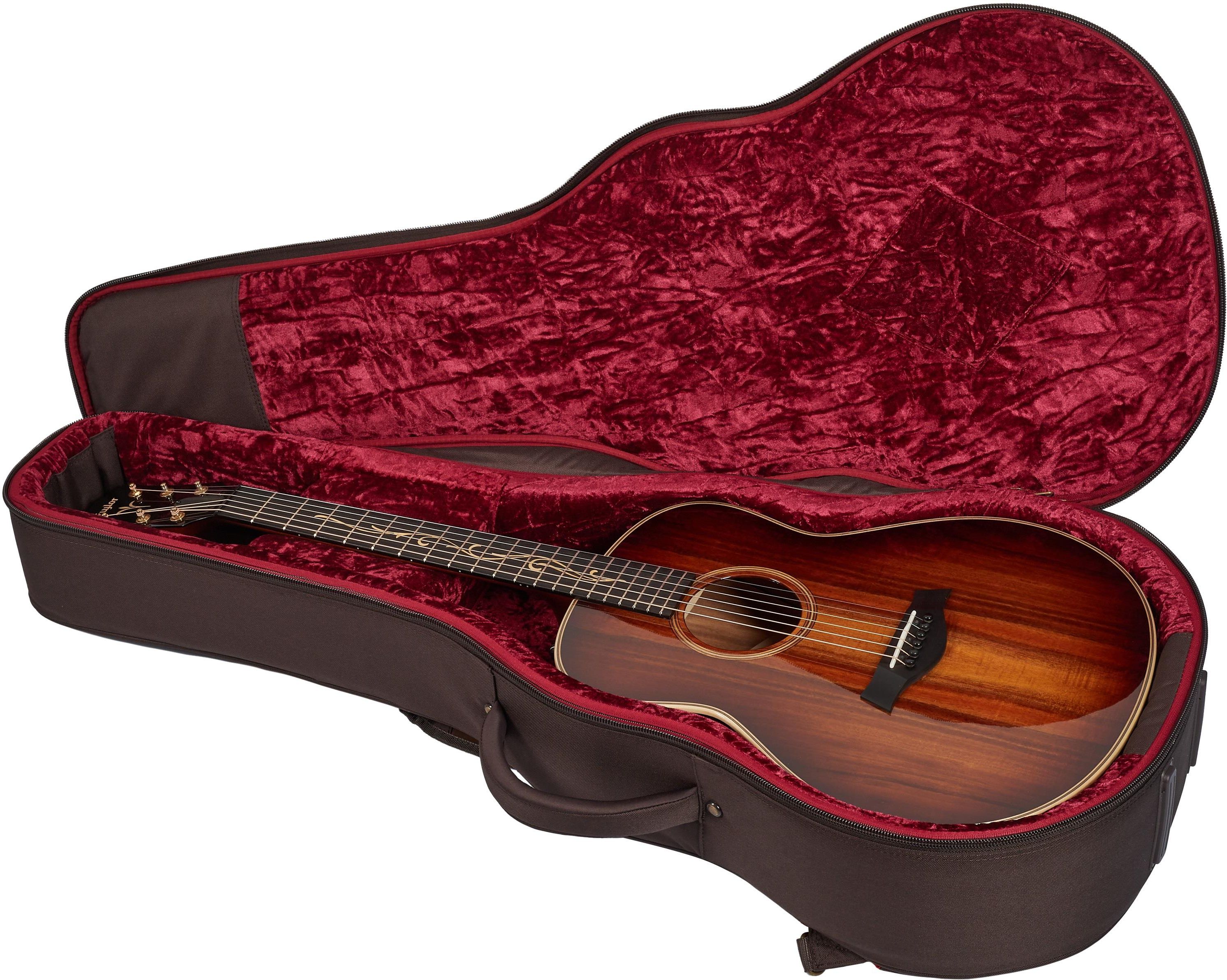 Taylor GT K21e - Ceny i opinie - Ceneo.pl