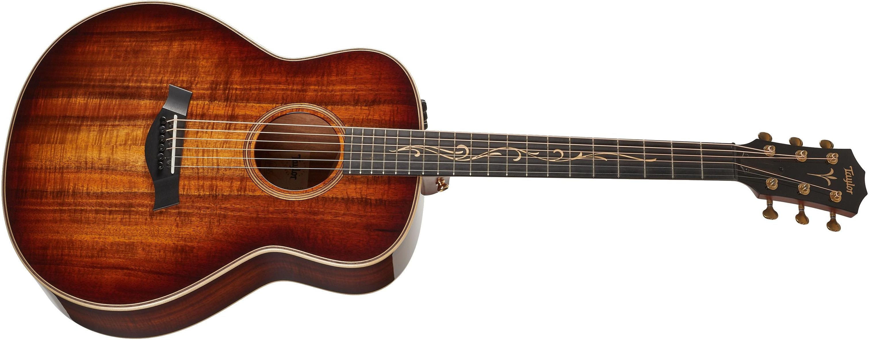 Taylor GT K21e - Ceny i opinie - Ceneo.pl