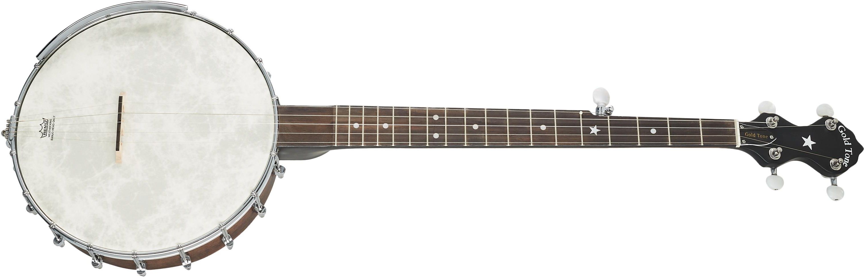 Gold Tone CC-OT - Ceny i opinie - Ceneo.pl