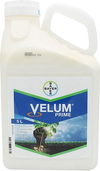 Velum Prime 5L - Ceny i opinie - Ceneo.pl
