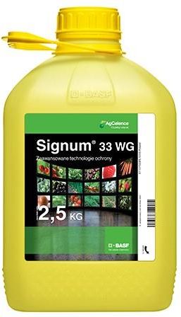 Signum 33 Wg Basf 2,5Kg Grzybobójczy - Ceny i opinie - Ceneo.pl